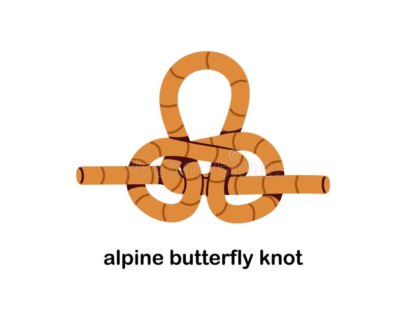 Alpine Butterfly Knot, Loop . Tied Rope, Fixed Cord Noose Stock Vector ...