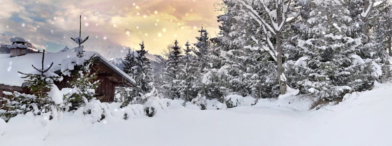 Alpine Chalet and Forest in Snow in Panoramic View Stock Photo - Image ...
