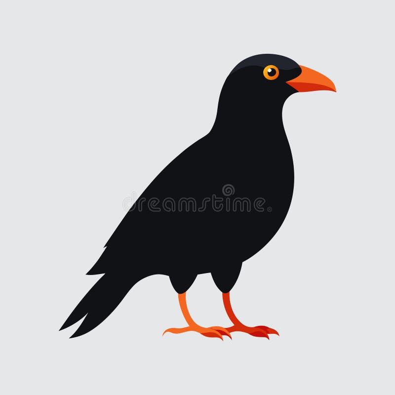 Alpine Chough Vector Art Illustration Stock Illustration - Illustration ...