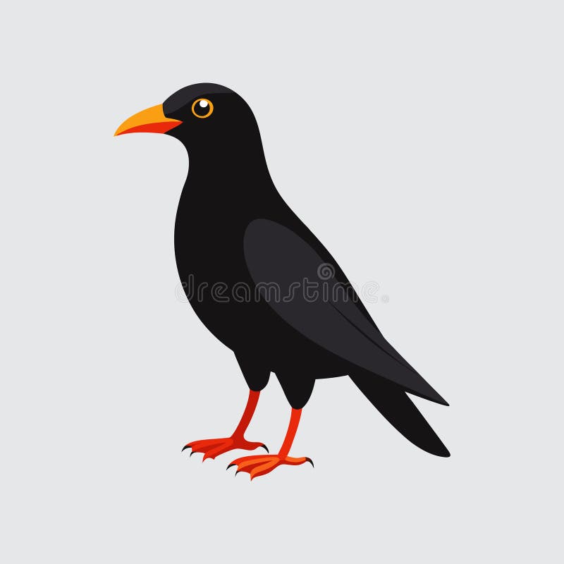 Alpine Chough Vector Art Illustration Stock Illustration - Illustration ...
