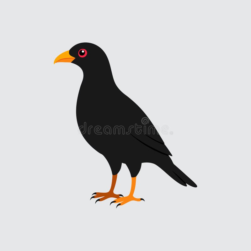 Alpine Chough Vector Art Illustration Stock Illustration - Illustration ...