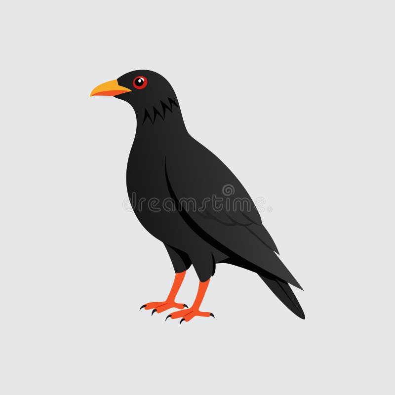 Alpine Chough Vector Art Illustration Stock Illustration - Illustration ...