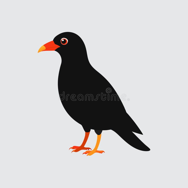 Alpine Chough Vector Art Illustration Stock Illustration - Illustration ...