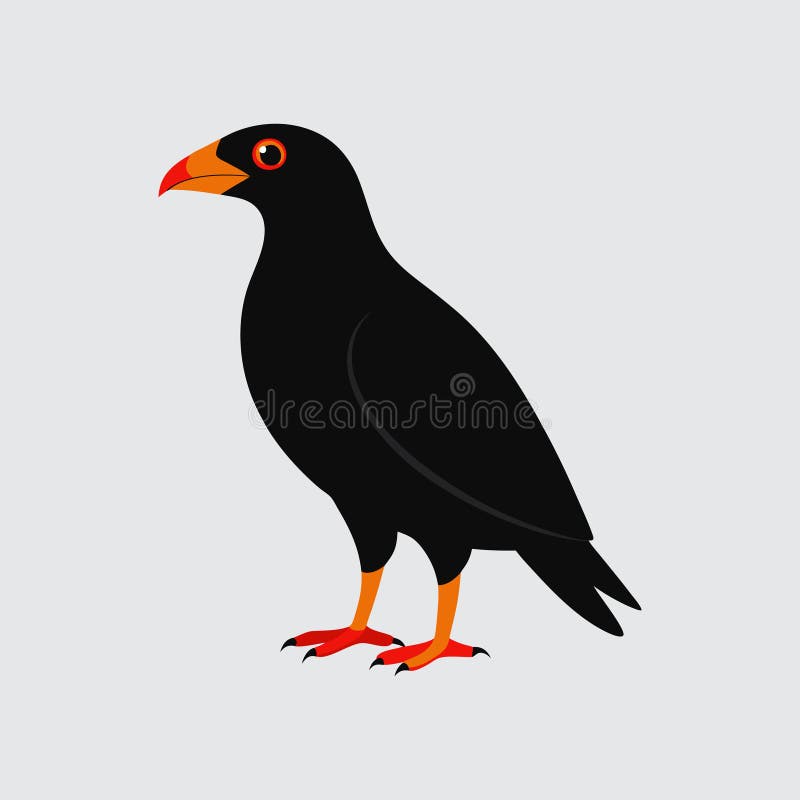 Alpine Chough Vector Art Illustration Stock Illustration - Illustration ...