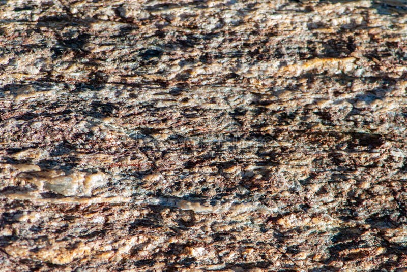 Alpine Close-up Grunge Stone or Rock Texture Stock Photo - Image of ...
