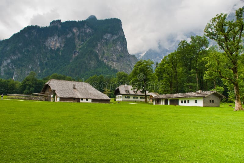 Alpine Countryside stock photo. Image of countryside, meadow - 9128112