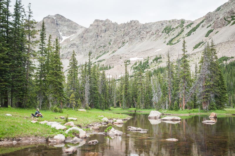 Alpine Creek photo stock. Image du désert, alpestre - 101545564