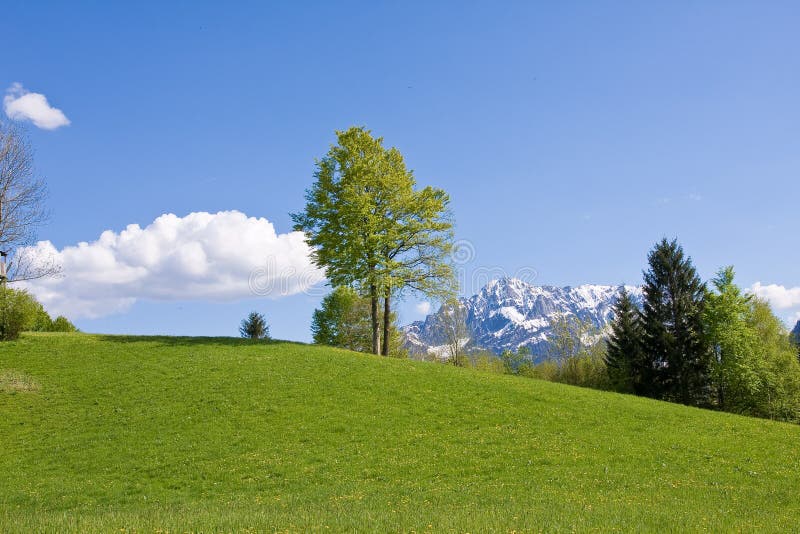 Beautiful landscape stock photo. Image of alps, grazing - 40712070
