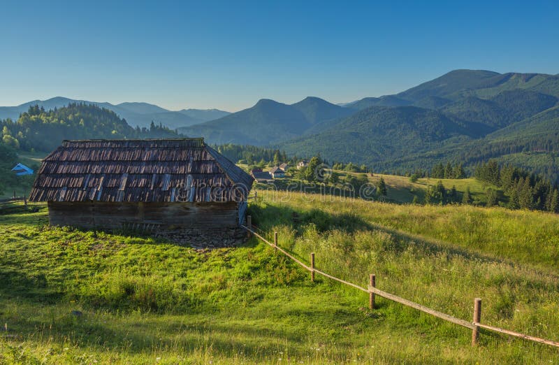 The Alpine Fields Grow Beautiful Spring Stock Photo - Image of grass ...
