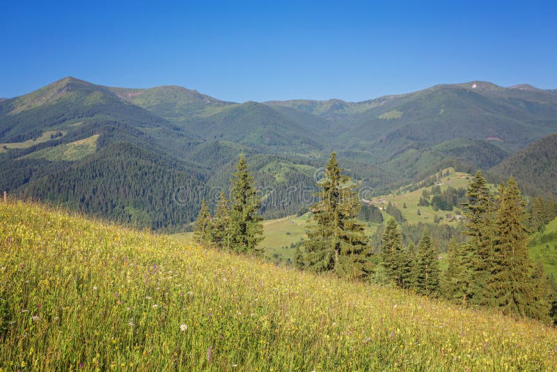 The Alpine Fields Grow Beautiful Spring Stock Image - Image of clouds ...