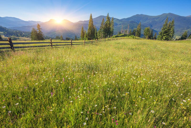 The Alpine Fields Grow Beautiful Spring Stock Image - Image of clouds ...