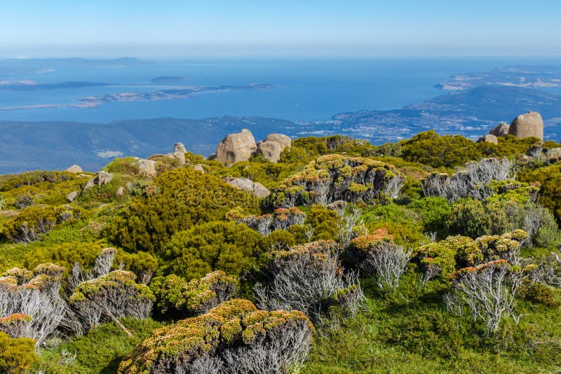 Stunning View from Mount Wellington Tasmania Stock Photo - Image of ...