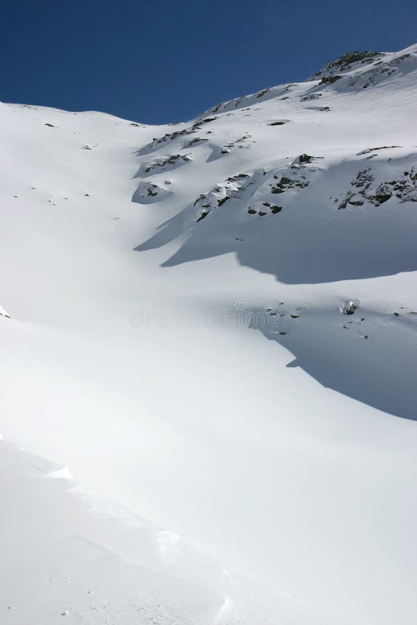 Alpine fresh snow stock image. Image of tree, sightseeing - 2274917