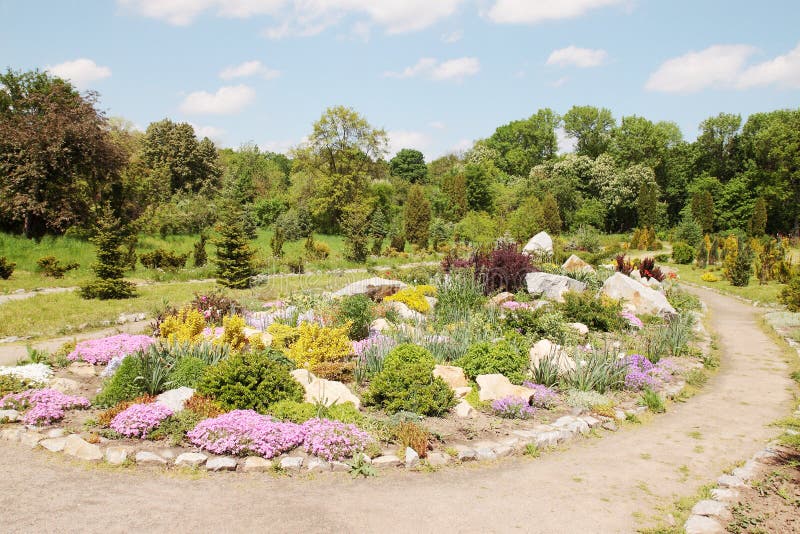 Alpine garden with plants stock image. Image of mountains - 30486013