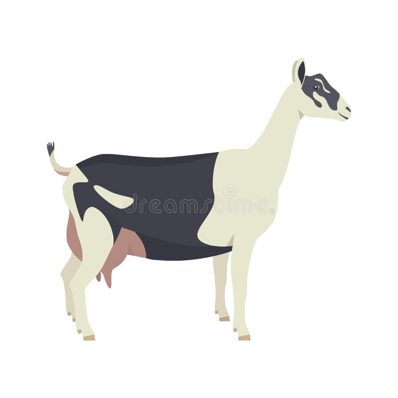 Cartoon Alpine Goat Isolated Stock Illustrations – 156 Cartoon Alpine ...