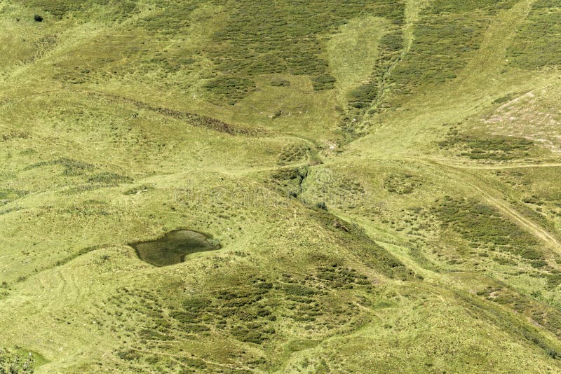 Alpine Grassland in the Bavarian Alps Stock Photo - Image of europe ...