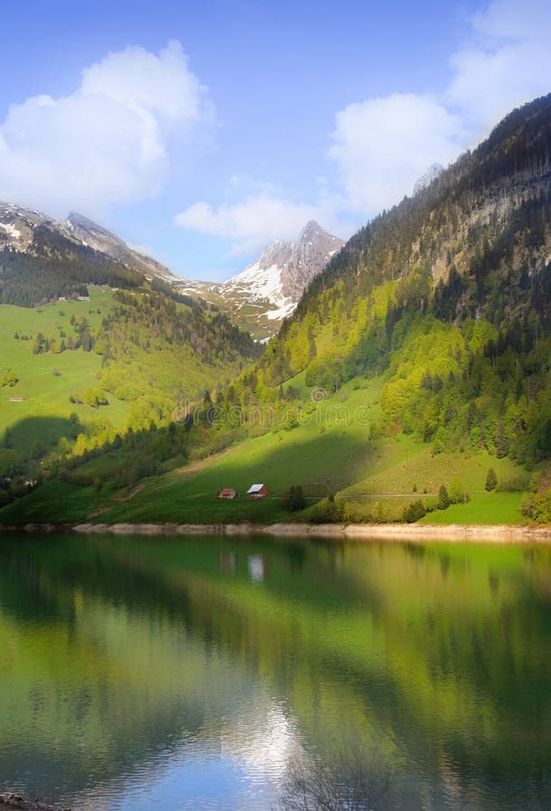 Spring alpine stream stock image. Image of natural, morning - 4606595