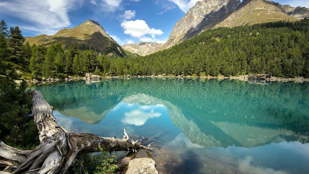 Alpine Lake with Clear Reflection of Mountains Stock Illustration ...