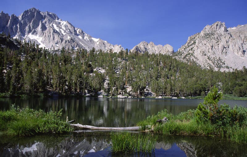 Alpine Lake in the Sierra Nevada S Stock Image - Image of sierra ...