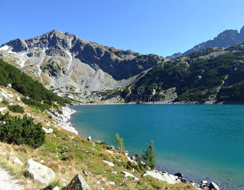 Alpine Lake in Summer AI Generated Stock Illustration - Illustration of ...