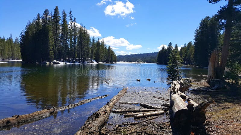 Timber Lake Trail Rocky Mountain National Park Stock Photos - Free ...