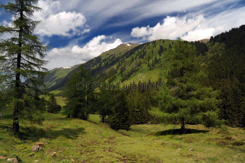 Alpine landscape stock image. Image of season, alpine - 11706147