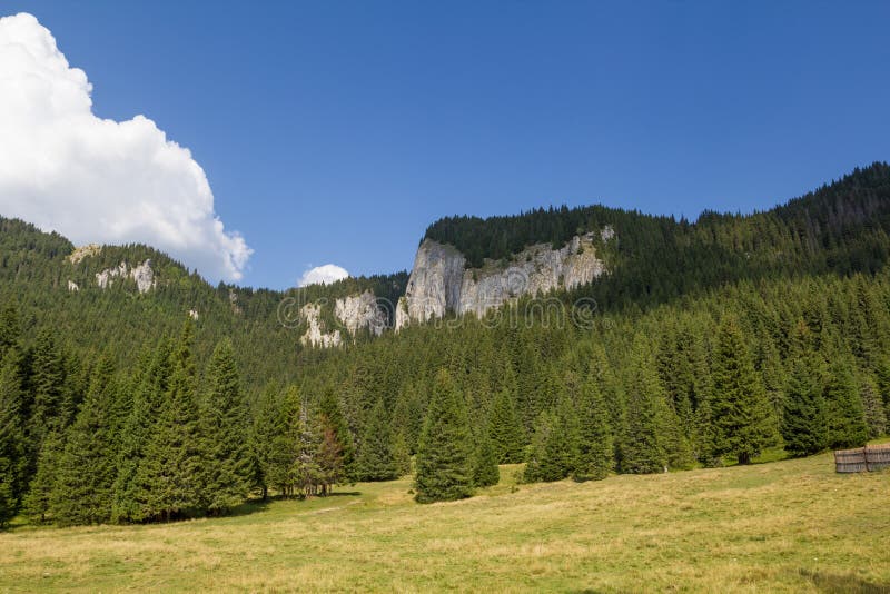 Alpine landscape stock photo. Image of peaceful, fresh - 26275626