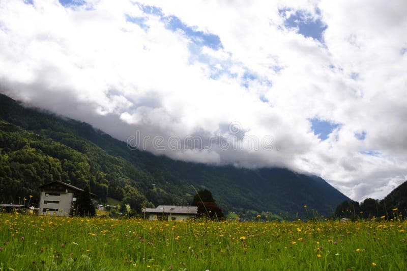 Alpine Landscape - Alpine Field Stock Photo - Image of pasture, hill ...