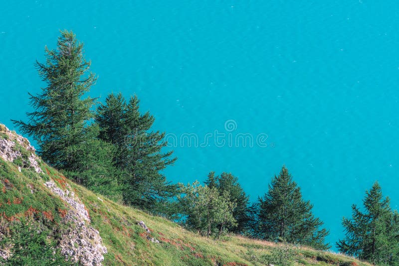 Alpine Landscape with Fir Trees and Blue Lake Stock Image - Image of ...