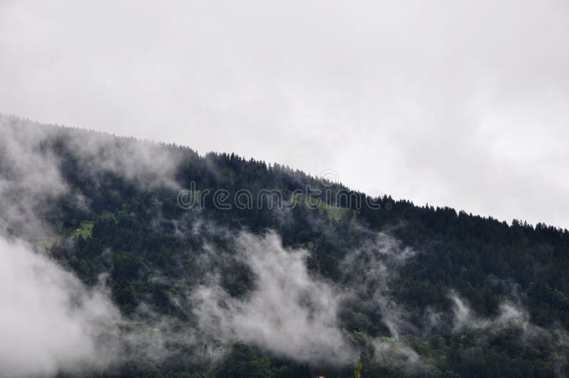 Forest in mist stock image. Image of plateau, rock, terrain - 335579925