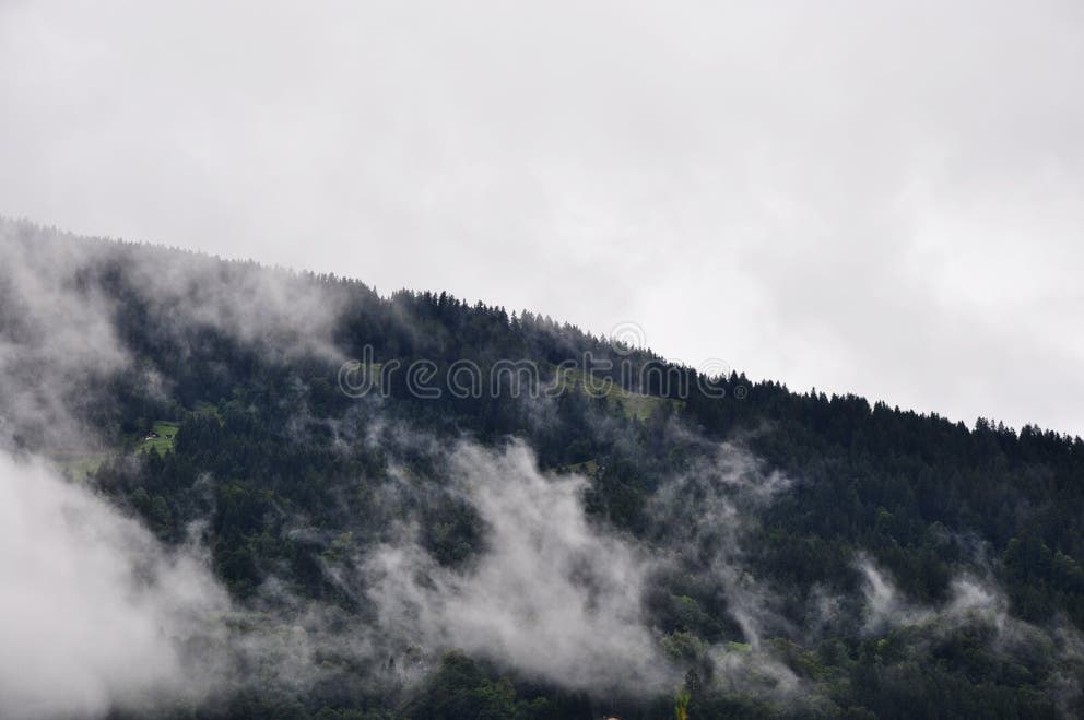 Forest in mist stock image. Image of plateau, rock, terrain - 335579925