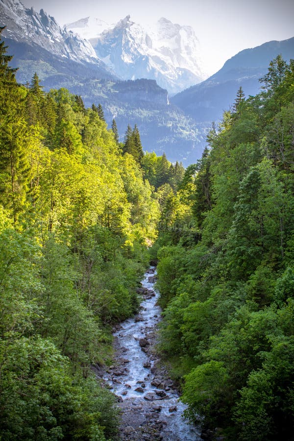 Alpine landscape stock photo. Image of grass, meadow - 83259614