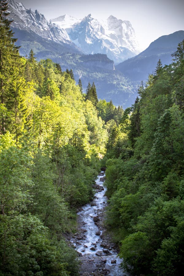 Alpine landscape stock photo. Image of pines, relax, blue - 97429472