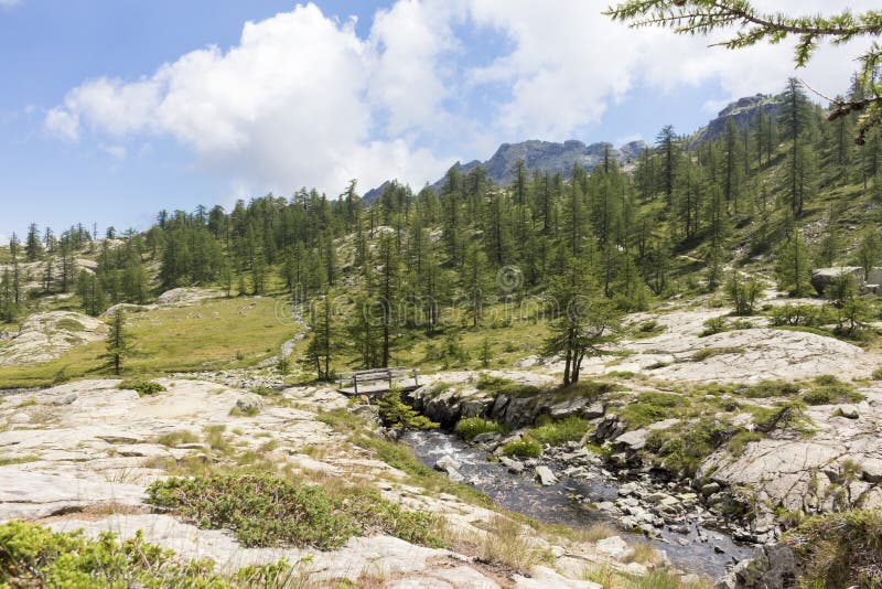 Alpine landscape stock image. Image of alps, aosta, pine - 87128595