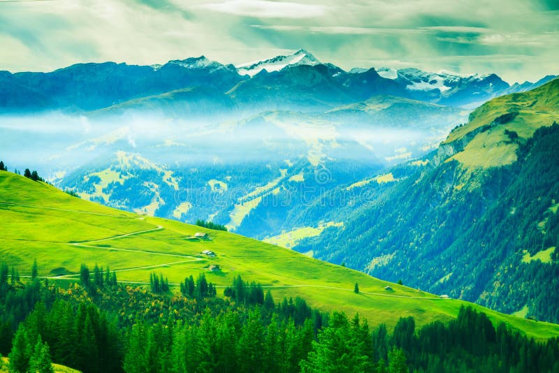 Alpine Landscape stock photo. Image of tree, field, europe - 91023770
