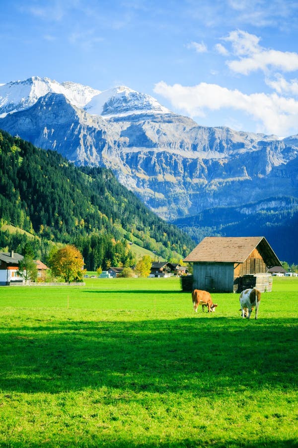 163 Simmental Valley Stock Photos - Free & Royalty-Free Stock Photos ...