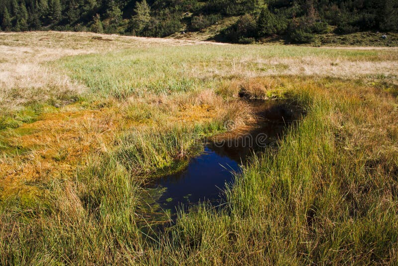 Alpine marsh stock photo. Image of alpine, black, lake - 78387406