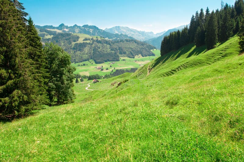 Alpine Meadow in Germany Allgaeu Stock Photo - Image of imberger ...
