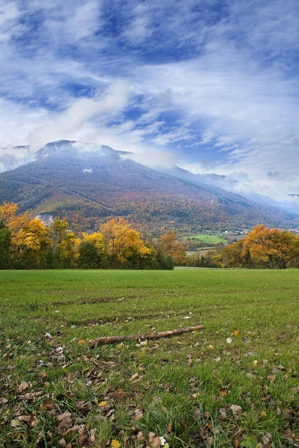 Alpine meadow stock photo. Image of rock, rocky, resort - 13249352