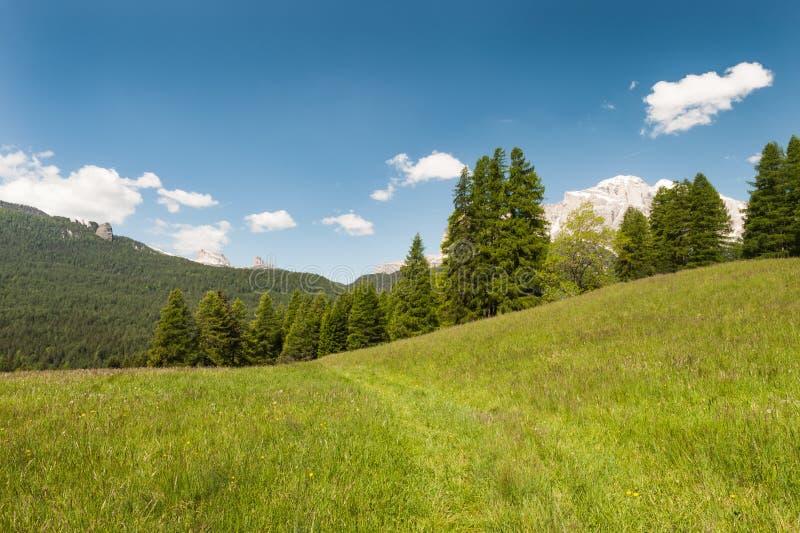 Alpine meadow stock photo. Image of clear, field, view - 28948472