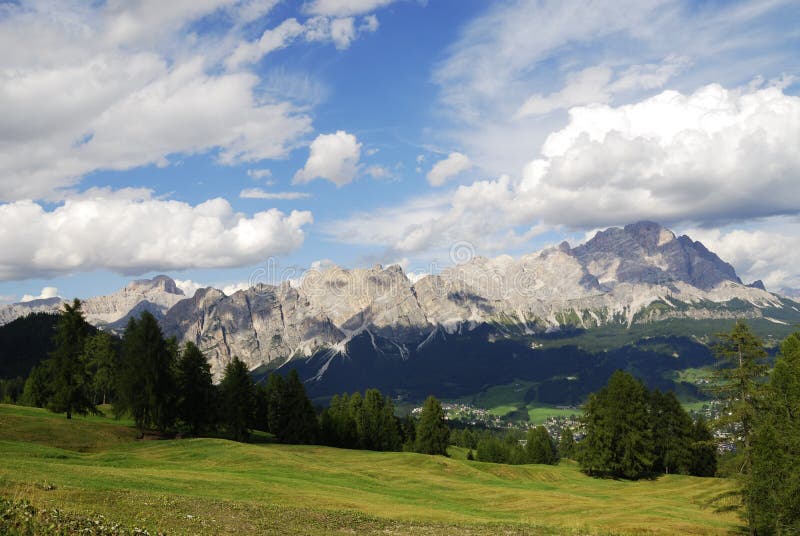 Alpine Meadow stock photo. Image of trees, idyll, peak - 29277504
