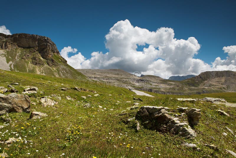 Alpine Meadow stock photo. Image of blooming, herbs, alpine - 29404060