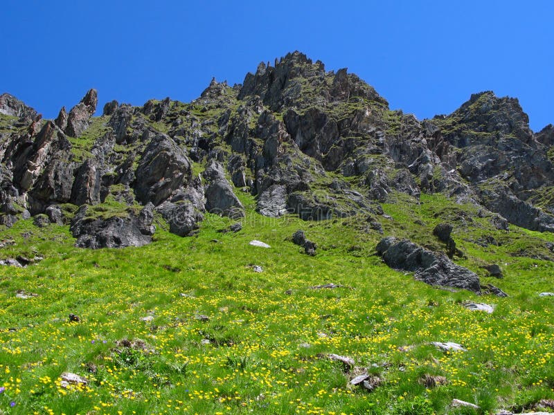 Alpine Meadow, Alps, CH Picture. Image: 2823374