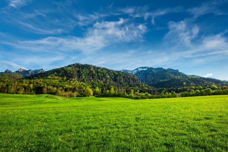 Alpine Meadow in Bavaria, Germany Stock Image - Image of europe, serene ...
