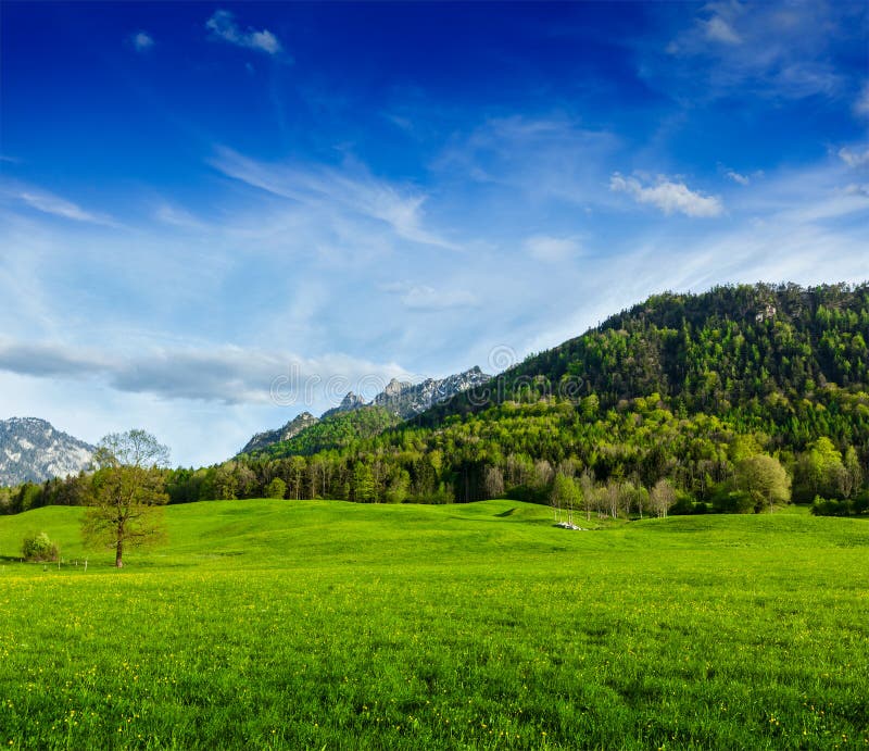 Alpine Meadow in Bavaria, Germany Stock Image - Image of serene ...
