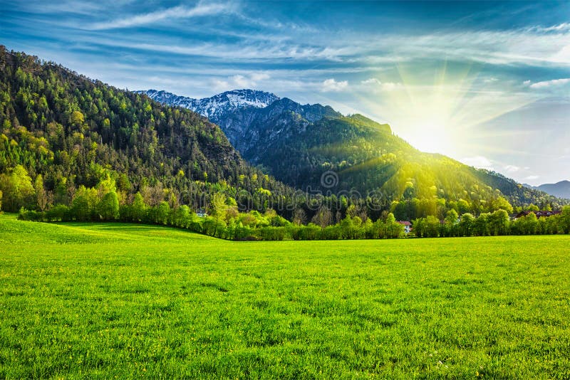 Alpine Meadow in Bavaria, Germany Stock Image - Image of europe, serene ...