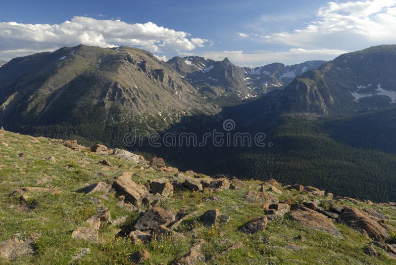 Alpine Meadow in Colorado Rocky Mountains Stock Image - Image of rocky ...