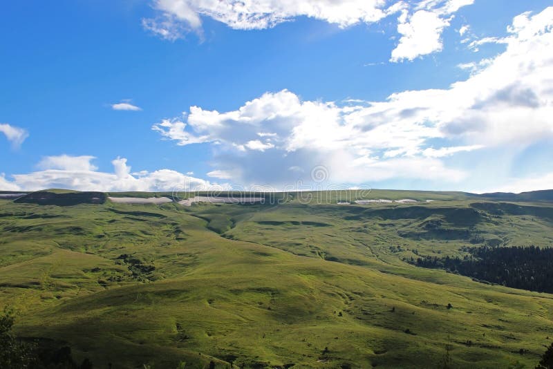 Alpine meadow stock photo. Image of beautiful, view - 143492770