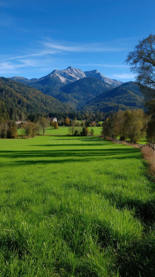 Alpine Meadow Landscape with Mountains, Forest and Blue Sky on Sunny ...