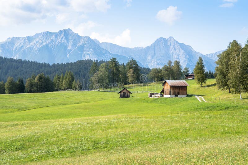 Alpine meadow in mountains stock image. Image of meadow - 170696469